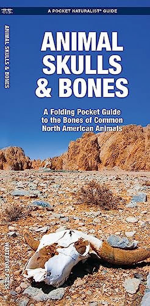 Outdoor Skills and Preparedness: Animal Skulls & Bones Laminated : A ...