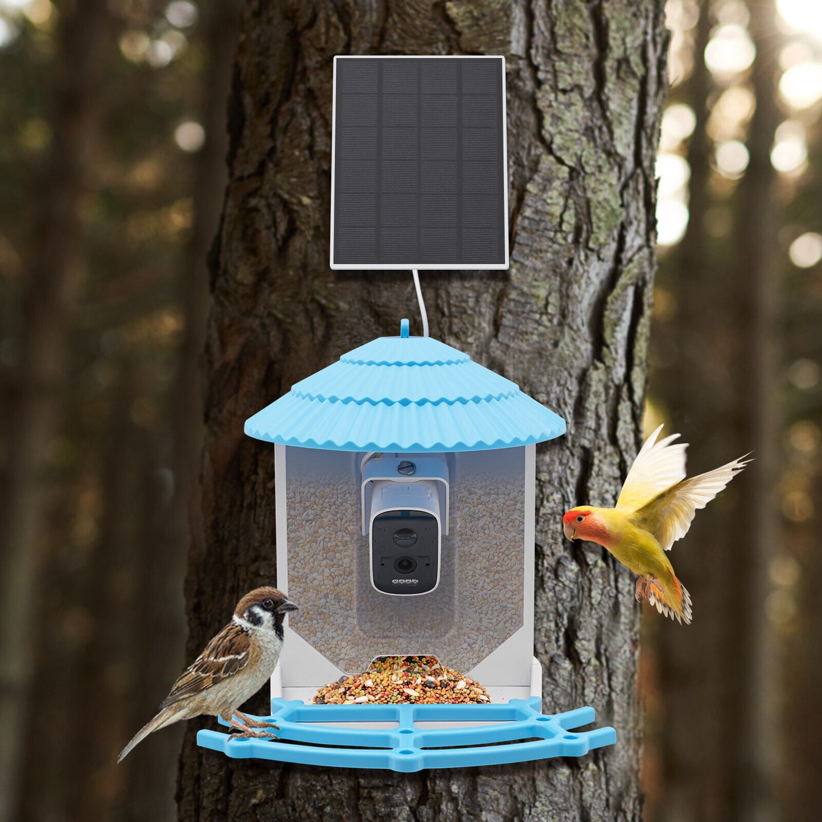 Outdoor Solar Bird Feeder Smart AI Recognition with 4MP HD Camera Night ...