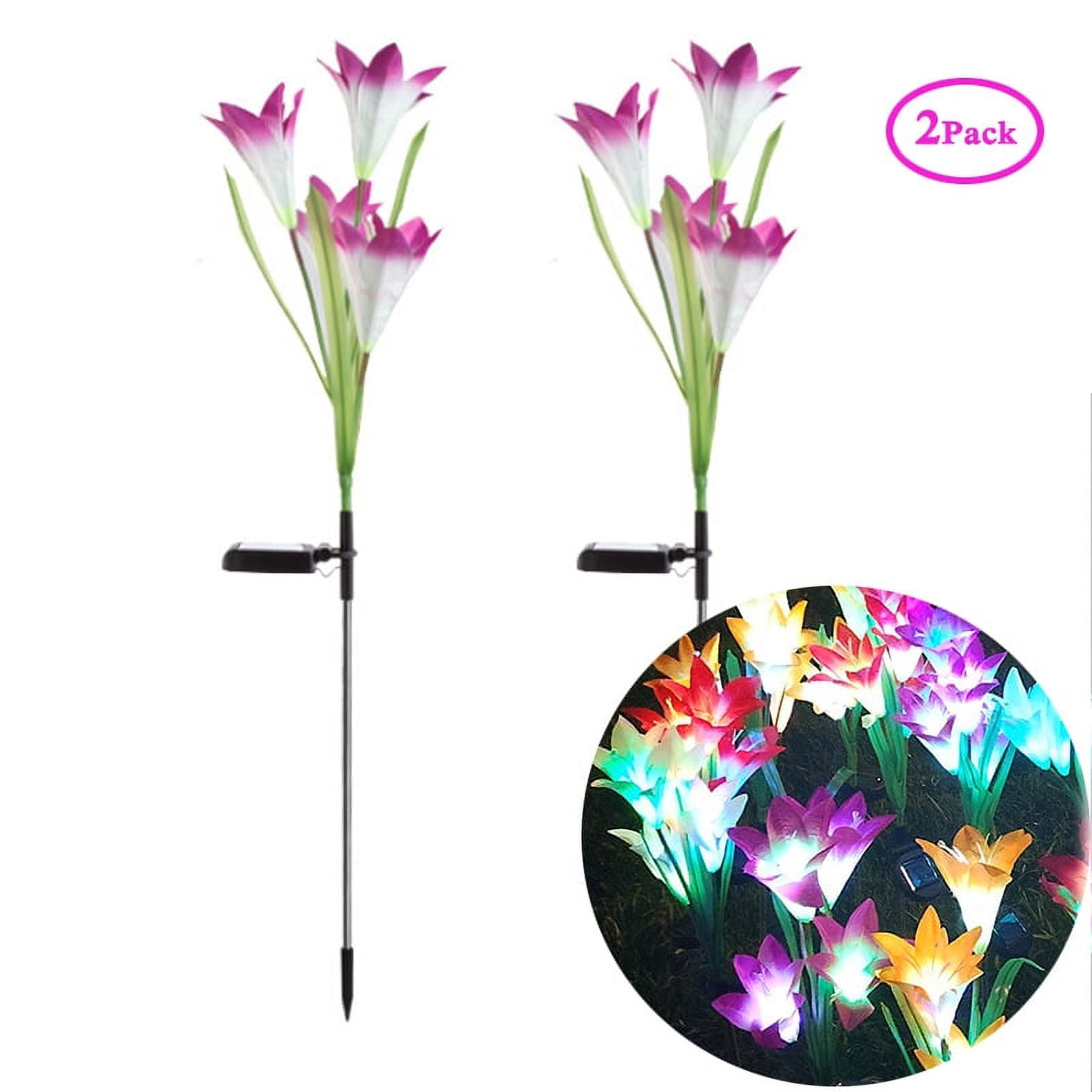 Outdoor Solar Garden Stake Lights - 2 Pack Solite Solar Powered Lights ...