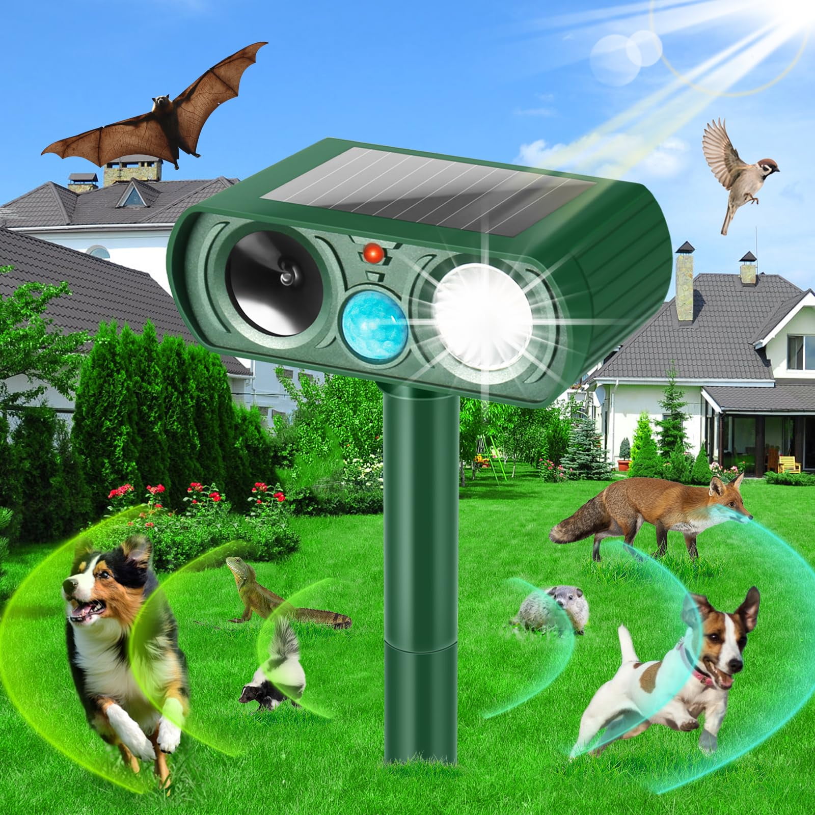 Outdoor Solar Powered Cat XEF1 Deterrent, Ultrasonic Cat Deterrent with ...