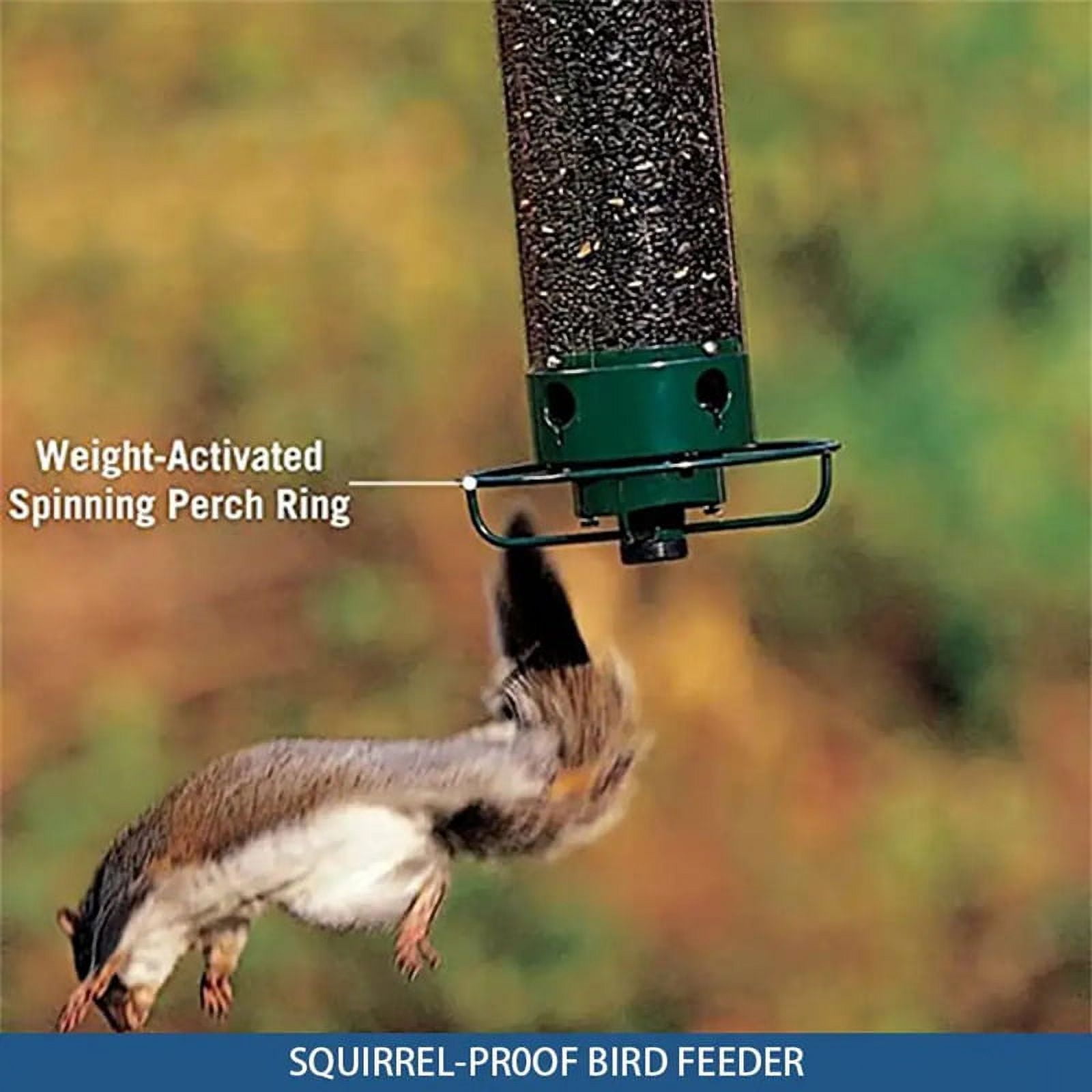 Outdoor Squirrel-Proof Hanging Bird Feeder Multiple Holes - Walmart.com