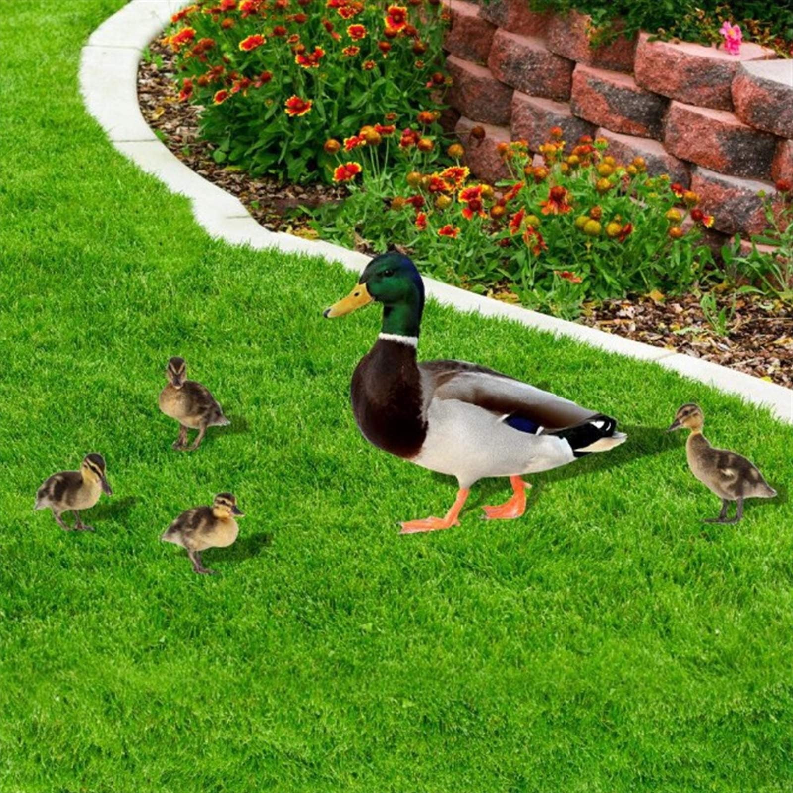 Outdoor Statues Set with 1 Duck and 4 Duckling Yard Stakes - Realistic ...