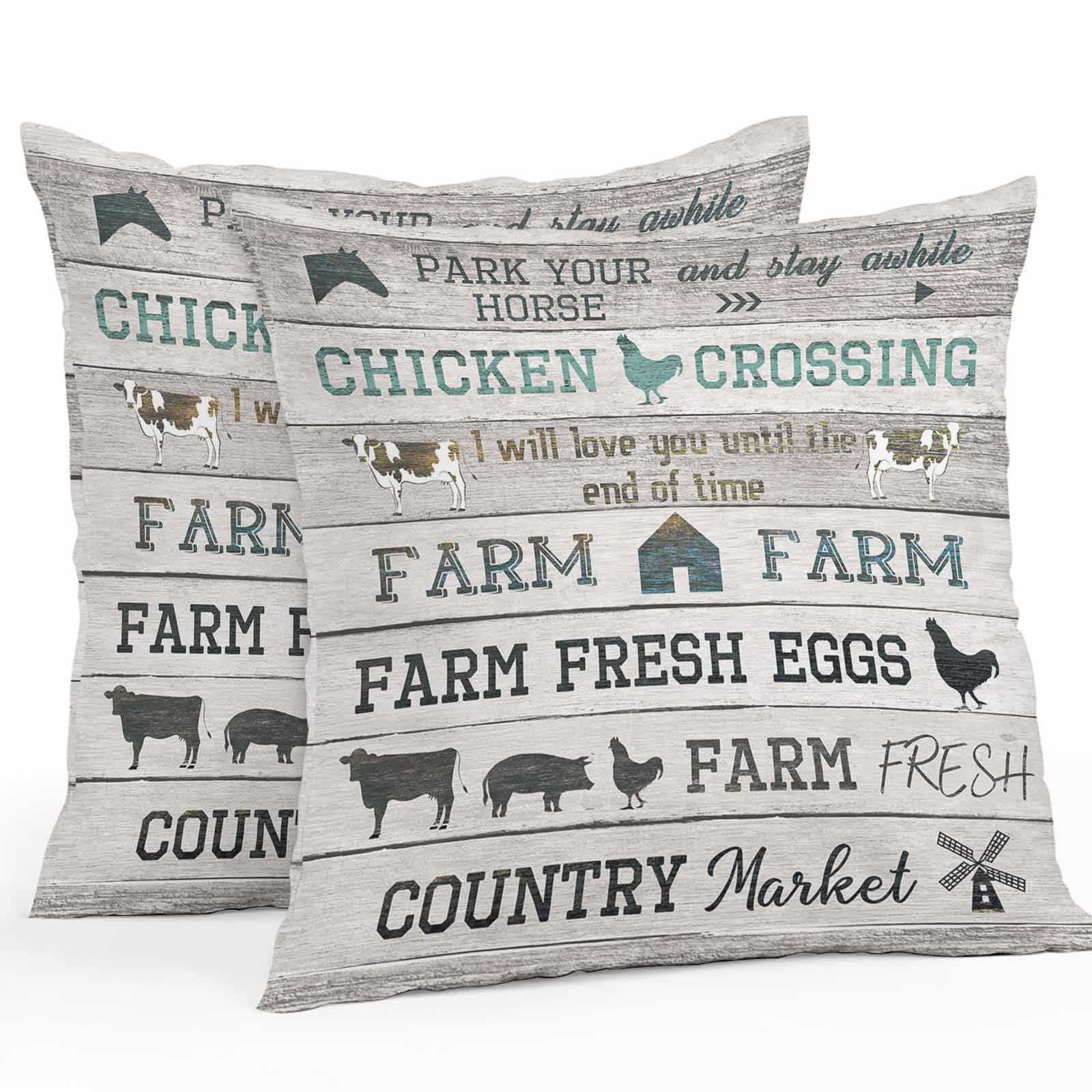 Outdoor Throw Pillows Covers 18X18 Set of 2 Waterproof Funny Farmhouse ...