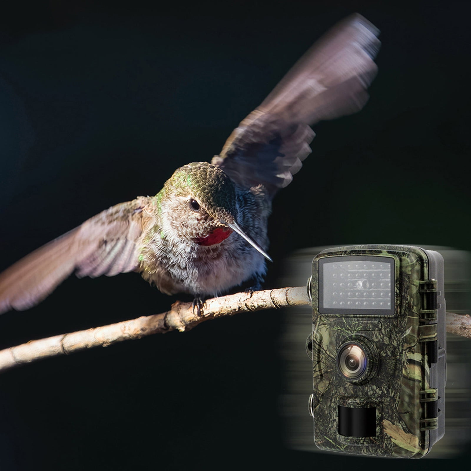 Outdoor Tracking and Recording Camera Scientific Research Water Proof ...