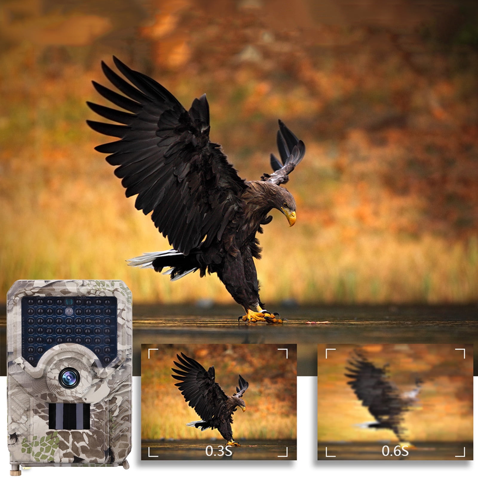 Outdoor Tracking And Recording Camera Scientific Research Water Proof ...