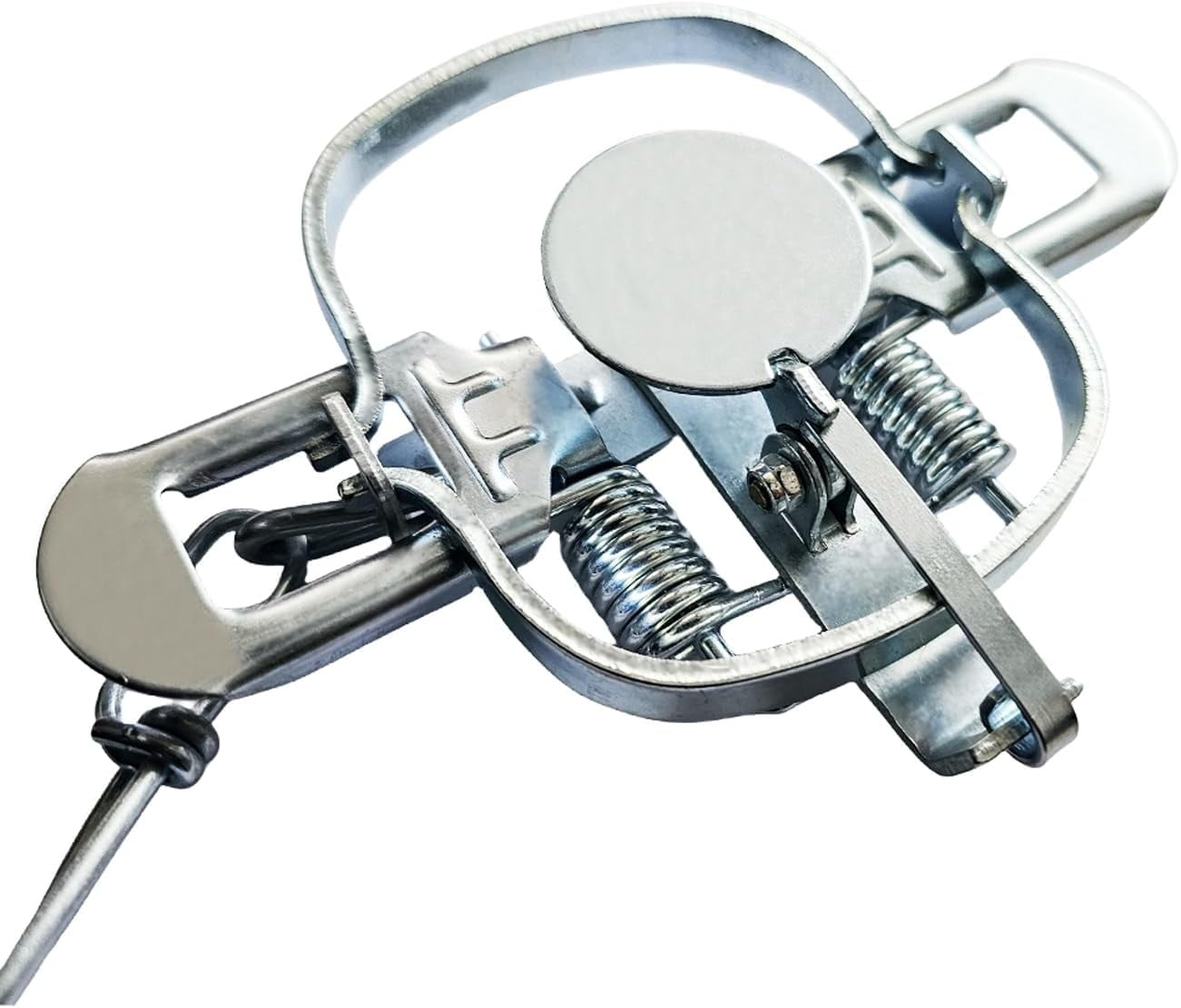 Outdoor Traps Spring Trap for Small 𝐀𝐧𝐢𝐦𝐚𝐥 𝐓𝐫𝐚𝐩𝐬 Trap for Farms Yards ...