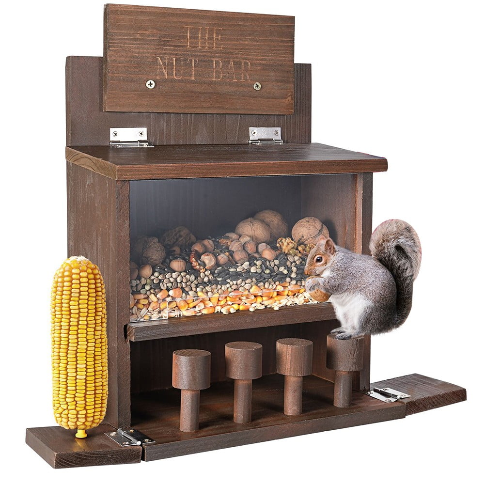 Outdoor Tree Squirrel Feeder, Outdoor Squirrel Picnic Table Feeder ...