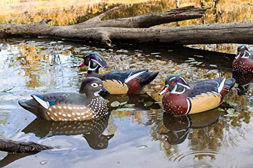 Outdoors 8018SUV Storm Front 2 Wood Duck Decoys, Classic Floaters - 6 ...