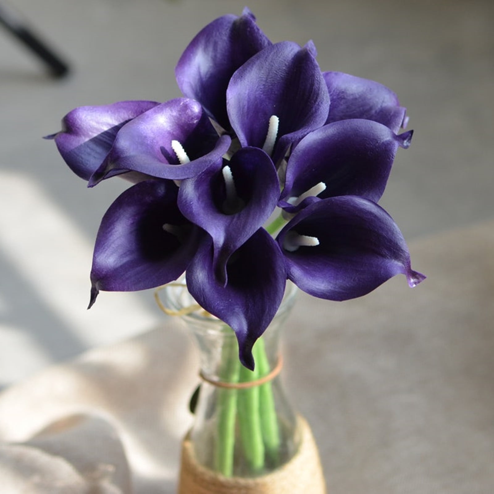 Outdoors, Perennial, Garden (Calla Lilies) Rich Colors Calla Lily ...