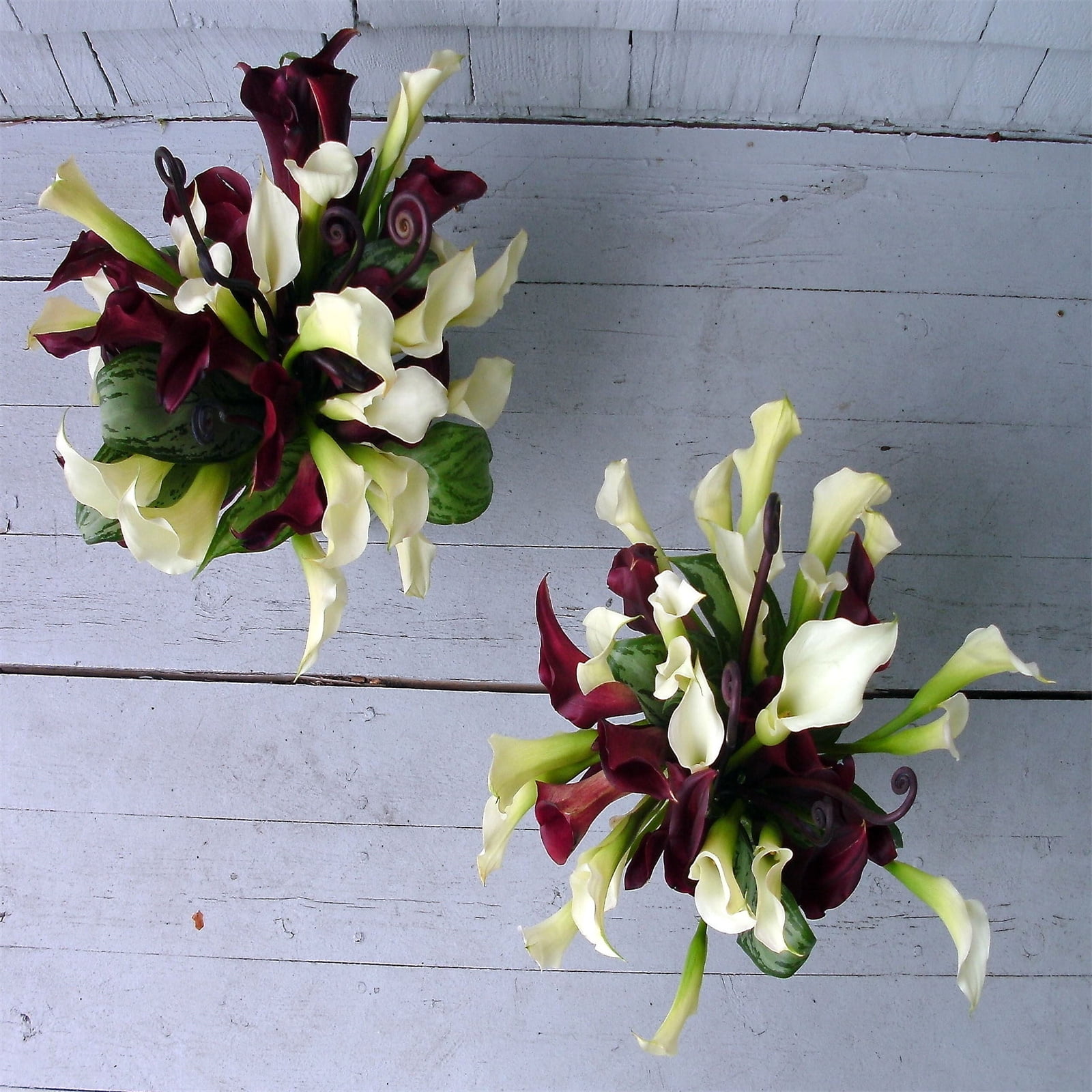 Outdoors, Perennial, Rich Colors Calla Lily, Garden (Calla Lilies ...