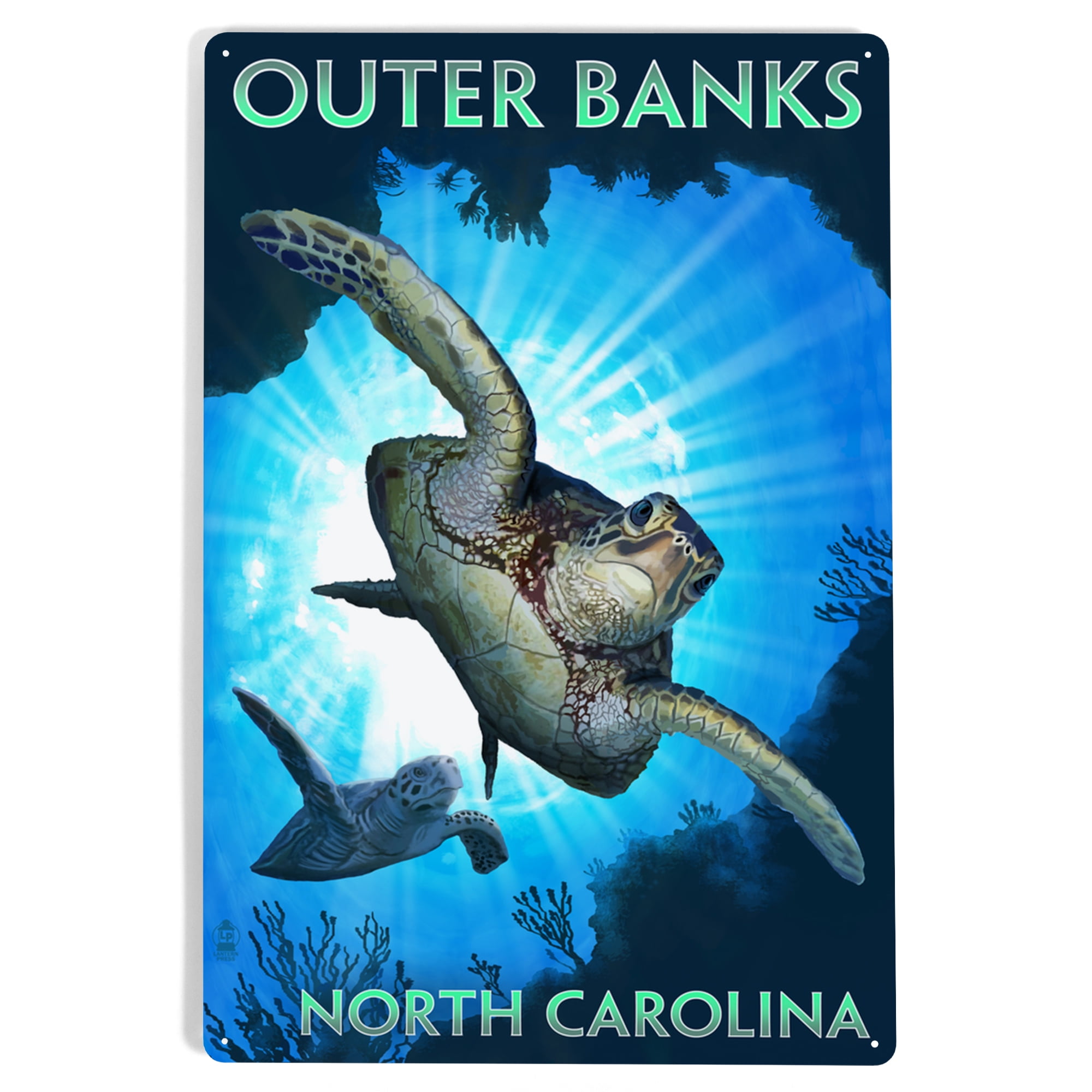 Outer Banks, North Carolina, Sea Turtles Diving (12x18 Aluminum Art ...