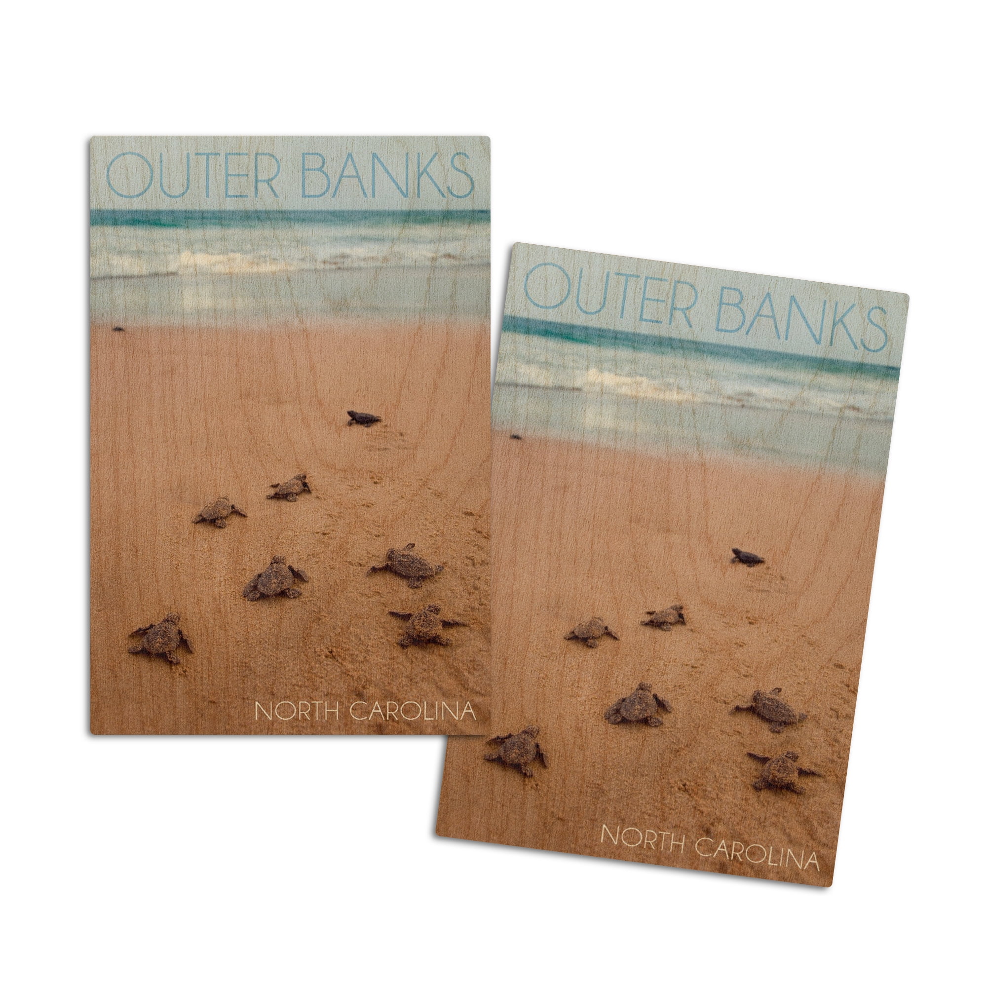 Outer Banks, North Carolina, Sea Turtles Hatching (4x6 Birch Wood ...