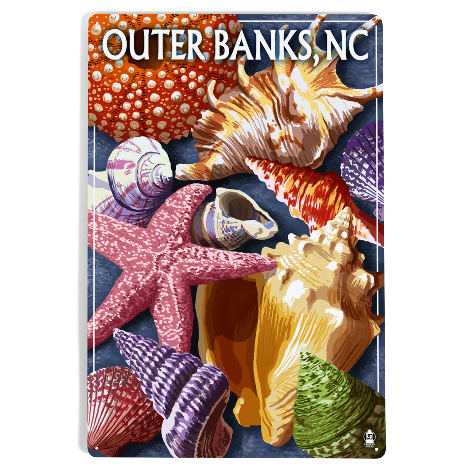 Outer Banks, North Carolina, Shells (12x18 Aluminum Art, Indoor Outdoor ...