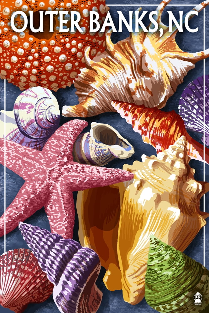 Outer Banks, North Carolina, Shells (16x24 Giclee Gallery Art Print ...