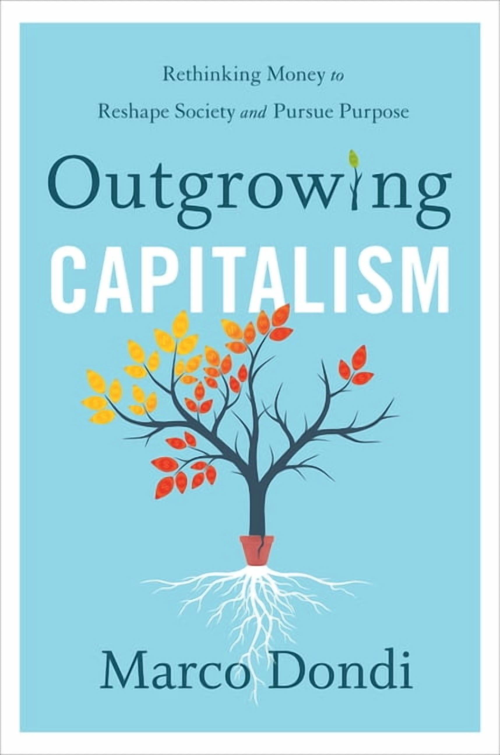 Outgrowing Capitalism: Rethinking Money to Reshape Society and Pursue ...