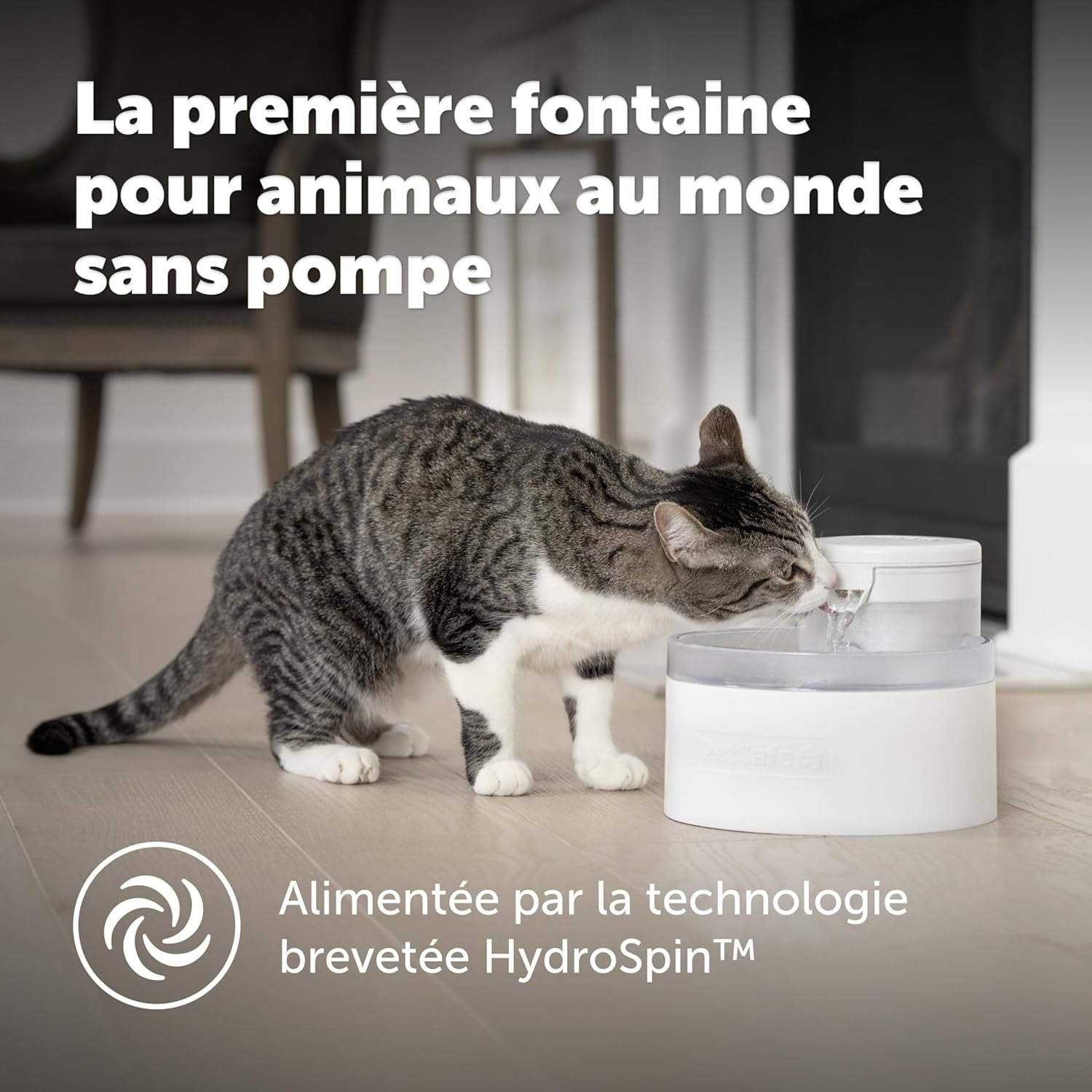 Outlast Cat Fountain - Encourages Healthy Hydration - Pump-Free Design ...