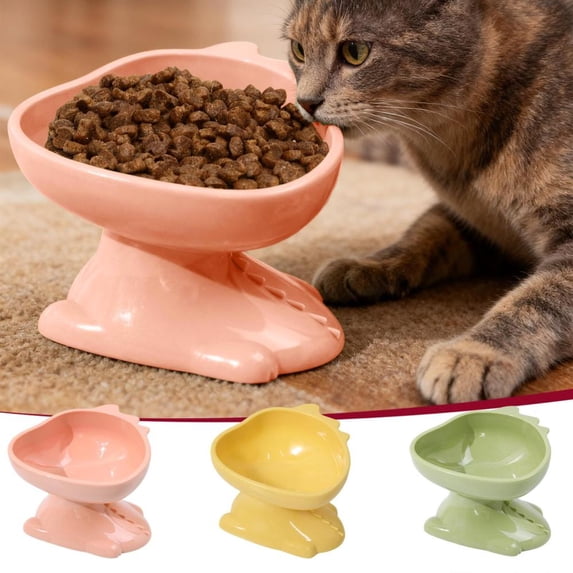 Outoloxit Ergonomic Raised Pet Bowl for Cats and Small Dogs, 350ml ...