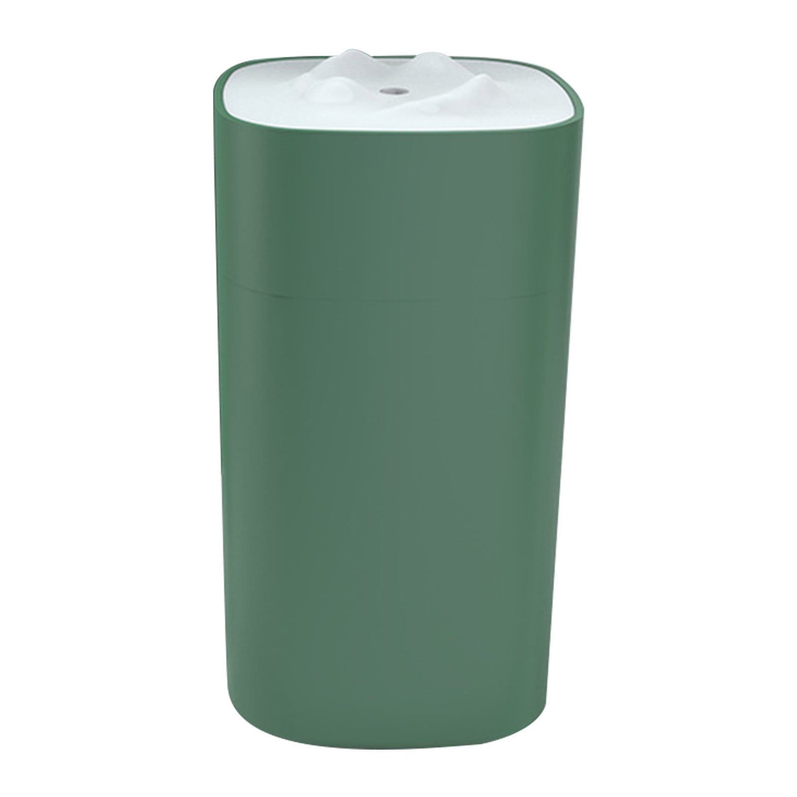 Outoloxit Sushi Dish Long Rectangle Dish and Cake Trays Plastic ...