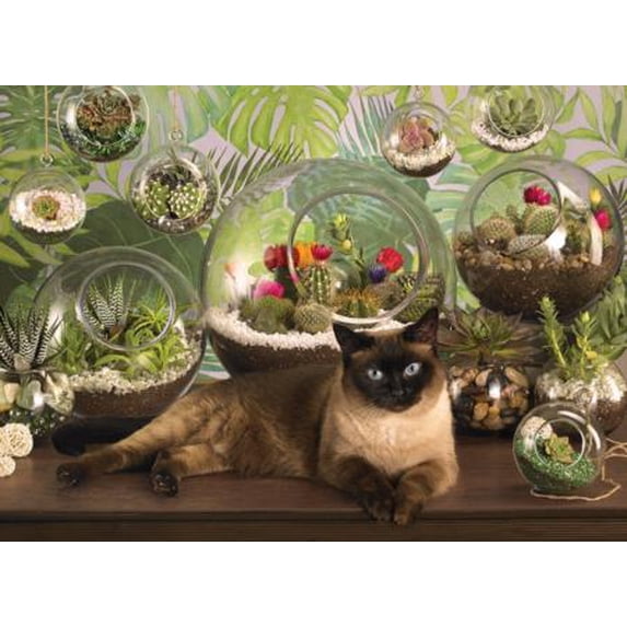 Cobblehill Puzzles 1000pc - Terrarium Cat - Walmart.com