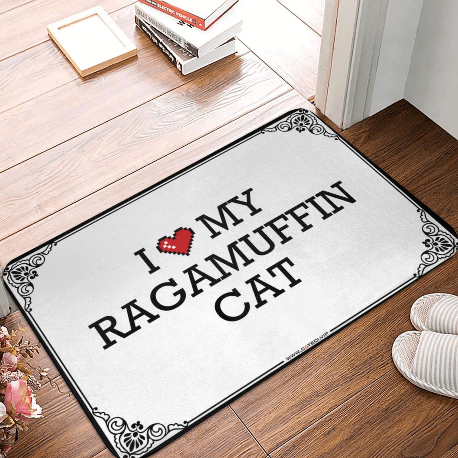 Outside Door Mats for Front Door I Love My Ragamuffin Cat Doormat Welcome and Goodbye Earthall ...