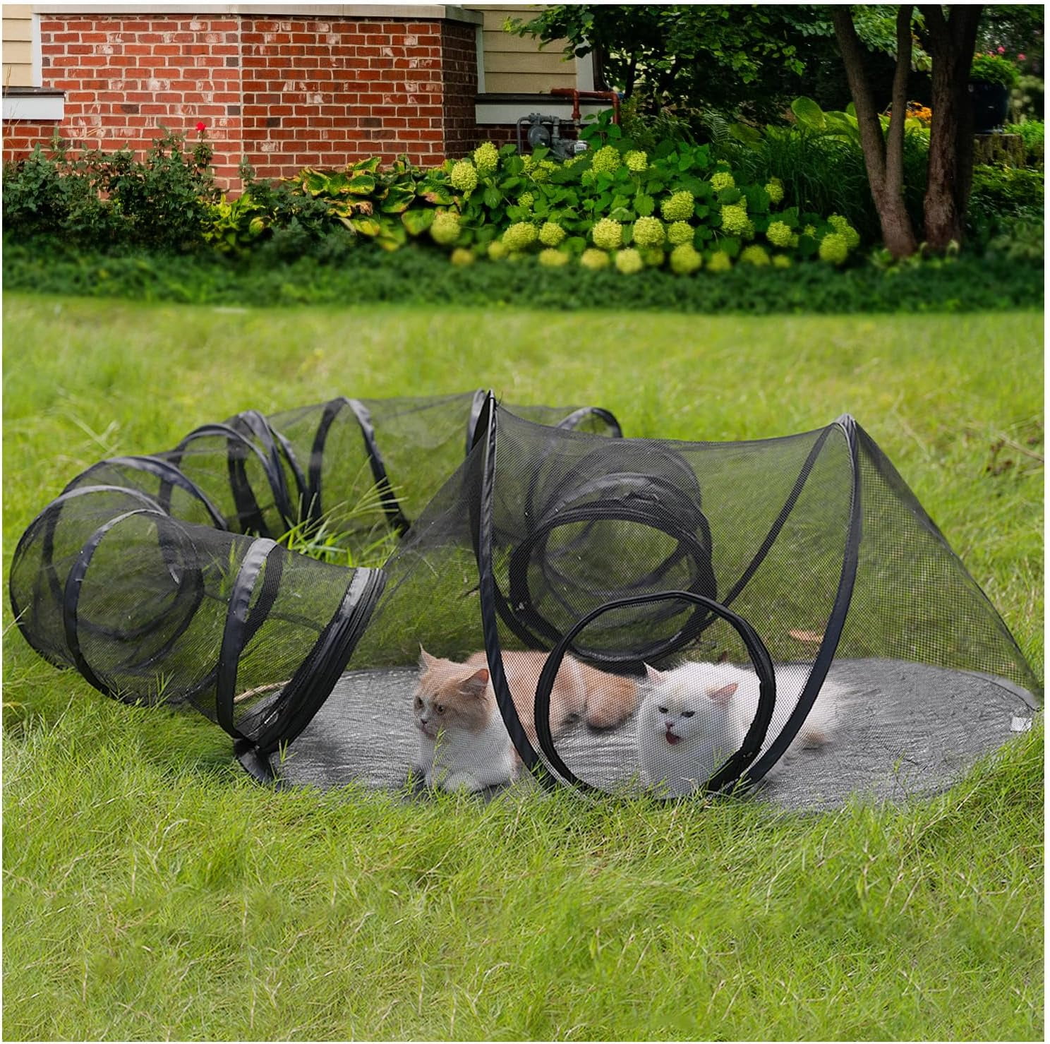 Outdoor Cat Enclosures, Portable Cat Tent for Outside Enclosure for ...