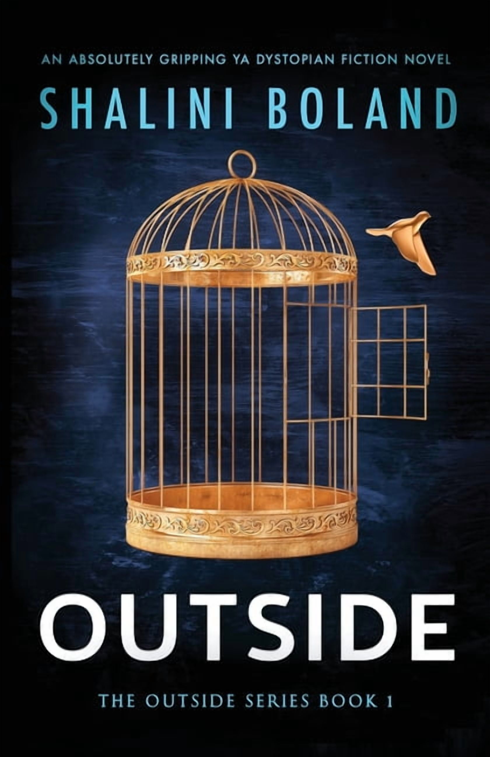 Outside: Outside: An absolutely gripping YA dystopian fiction novel ...