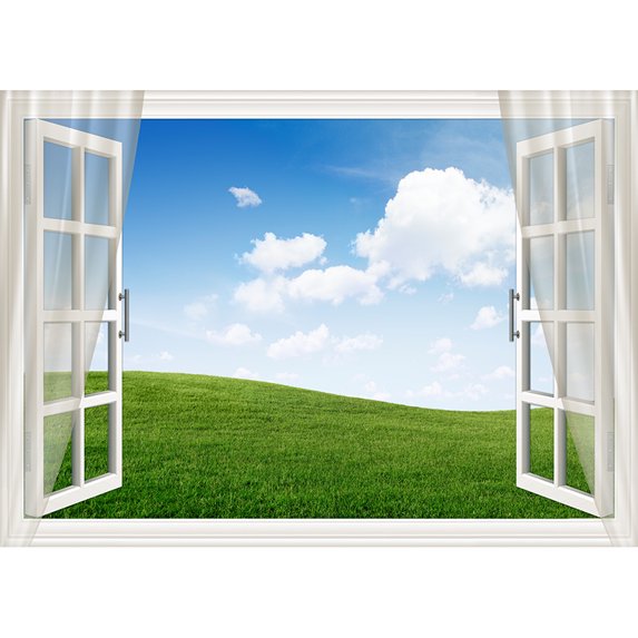 Outside The Window Natural Scenery Photography Background Indoor ...