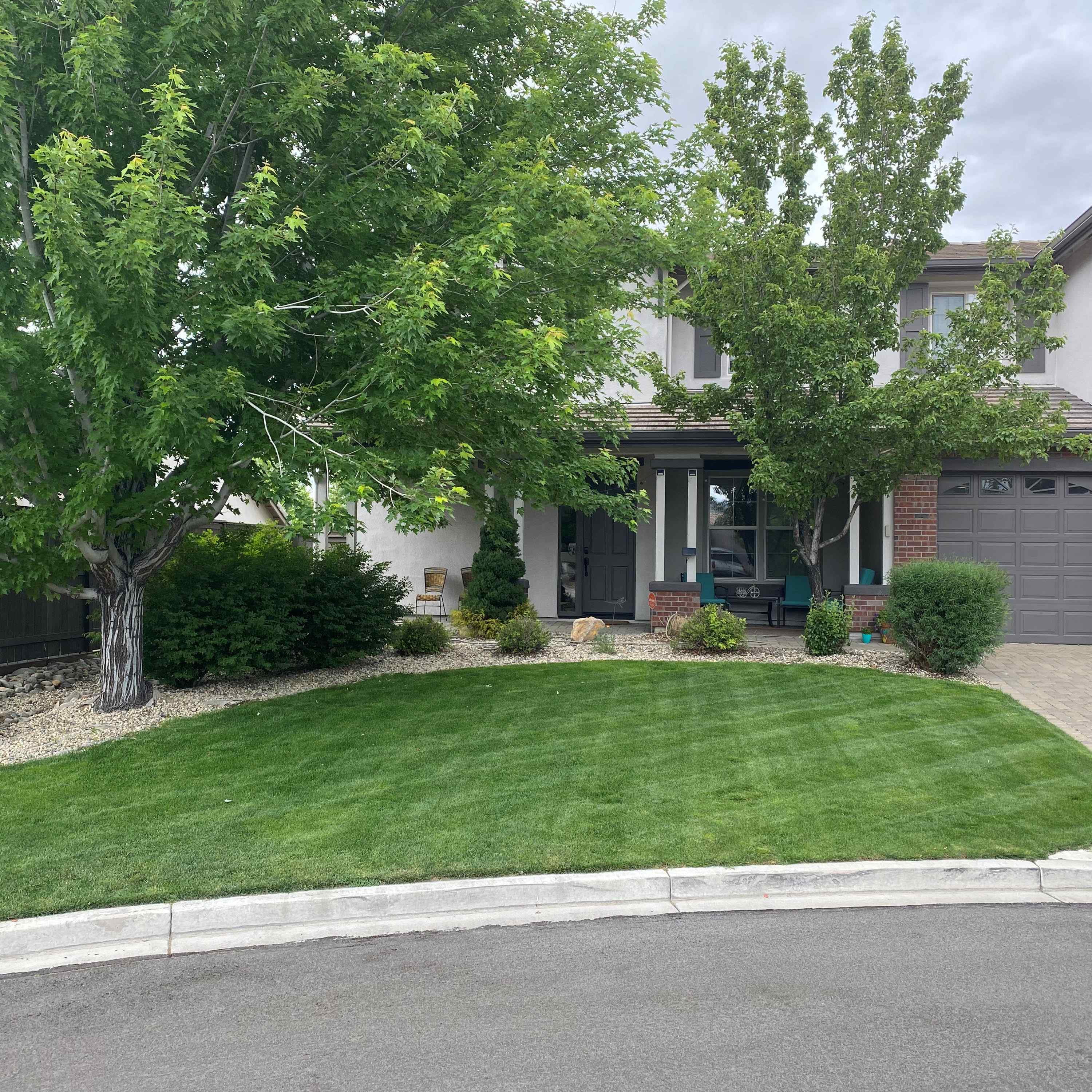 Outsidepride 50 lb. Perennial Rye Lawn Grass, Fine Fescue, & Kentucky ...