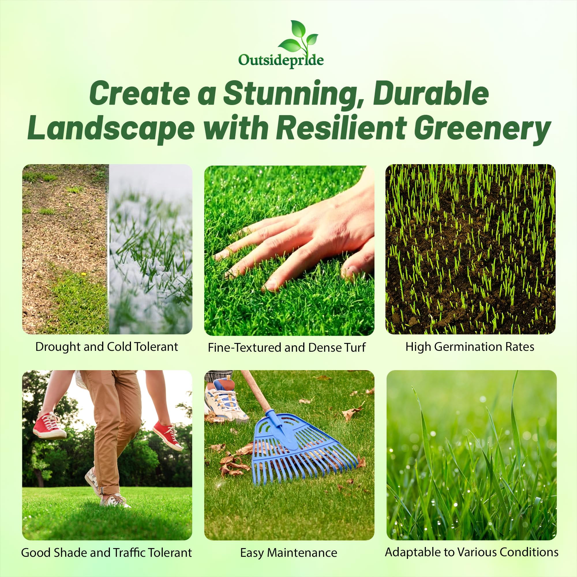 Outsidepride Blackjack II Maya Bermuda Grass Seed H2FSD- 5 lbs Warm ...