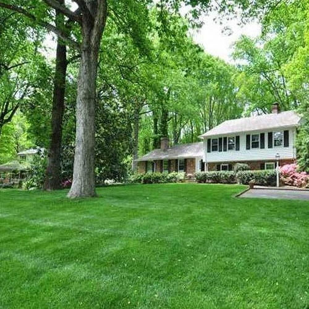 Outsidepride Combat Extreme Turf Type Fescue Grass Seed for Fine Lawn ...