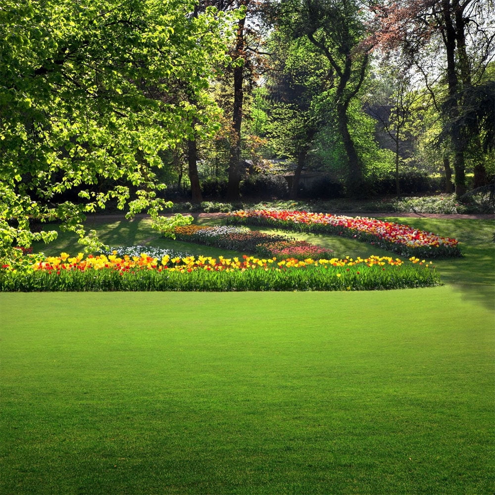 Outsidepride, Creeping Red Fine Fescue Grass Seeds, Shade Tolerant ...