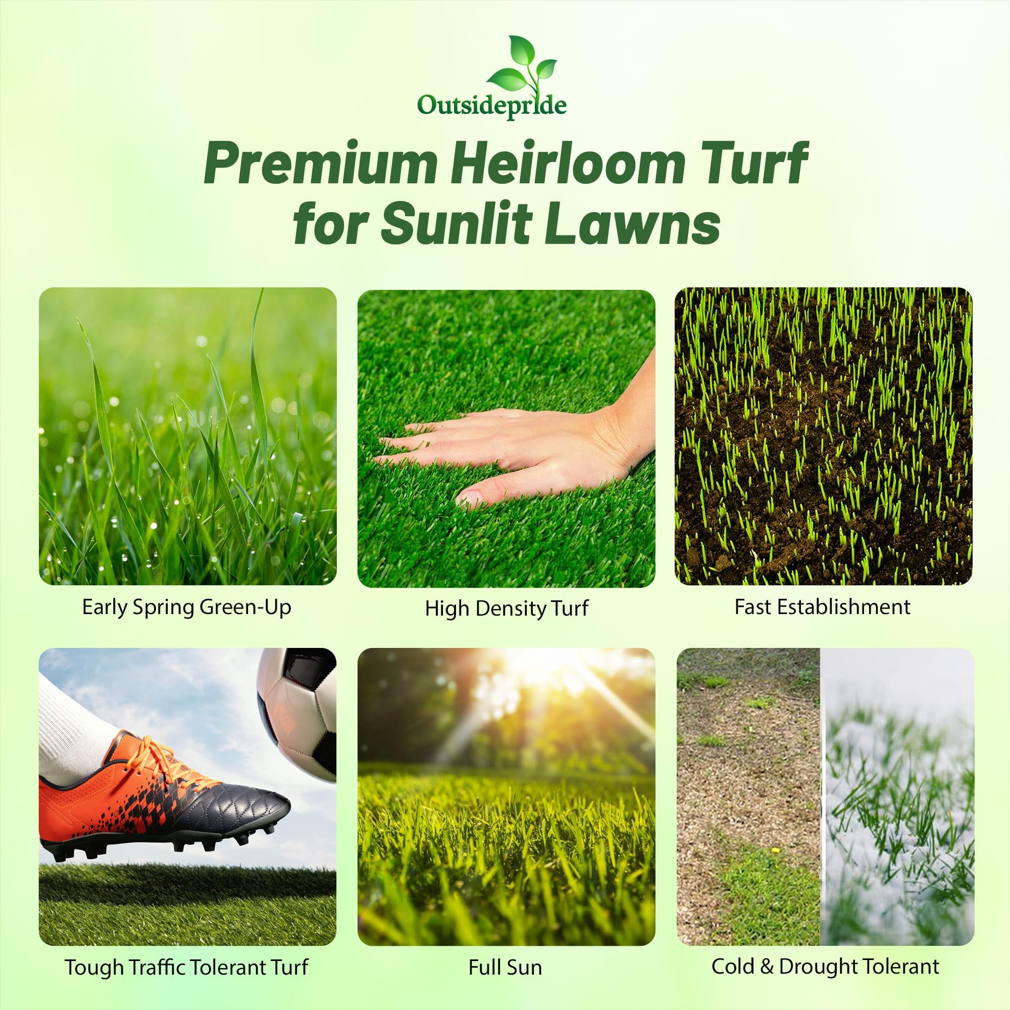 Outsidepride Full House AJH3 Bermuda Grass Seed Mix - 2 lbs. Premium ...