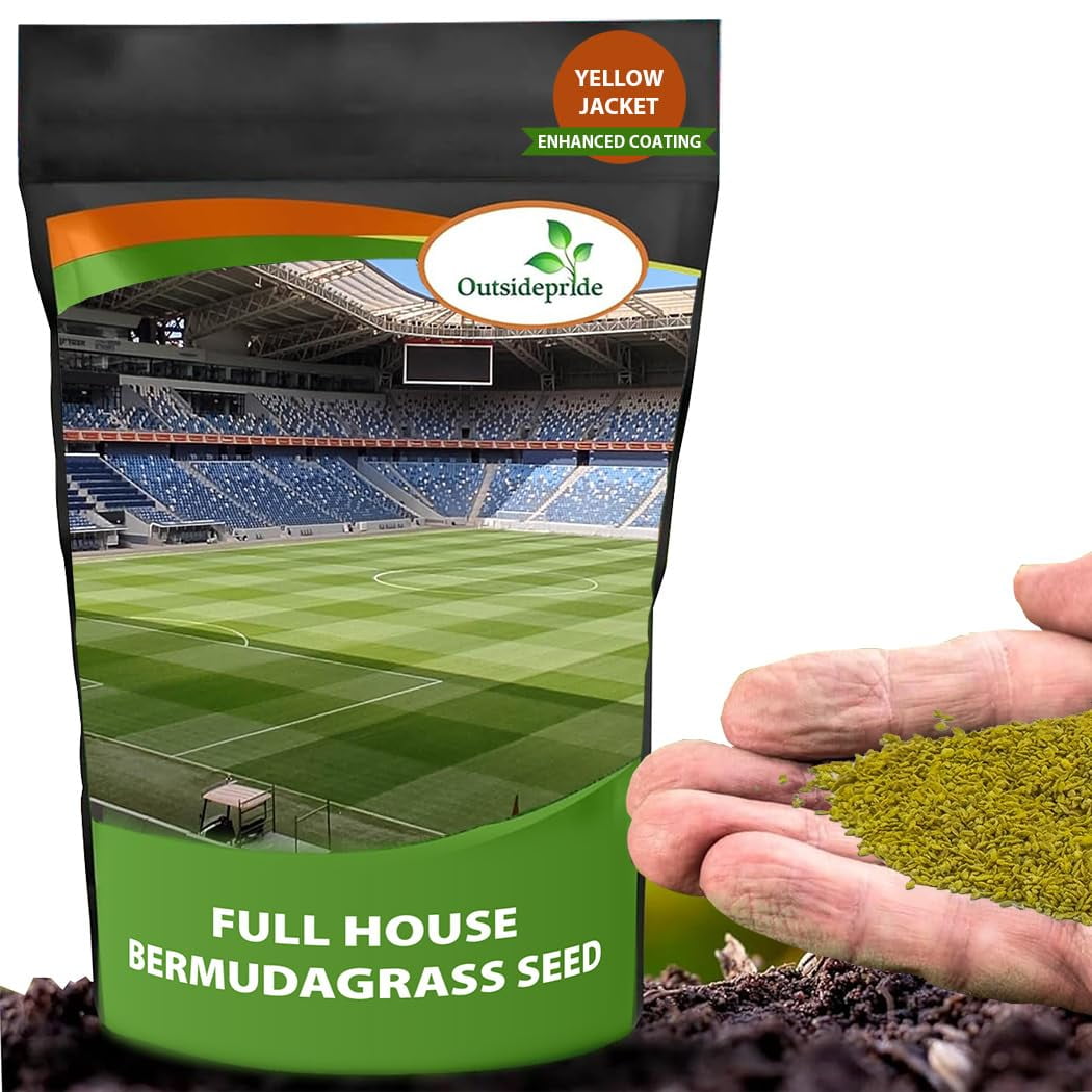 Outsidepride Full House Bermuda Grass Seed MVR1 Mix - 1 lbs. Premium ...