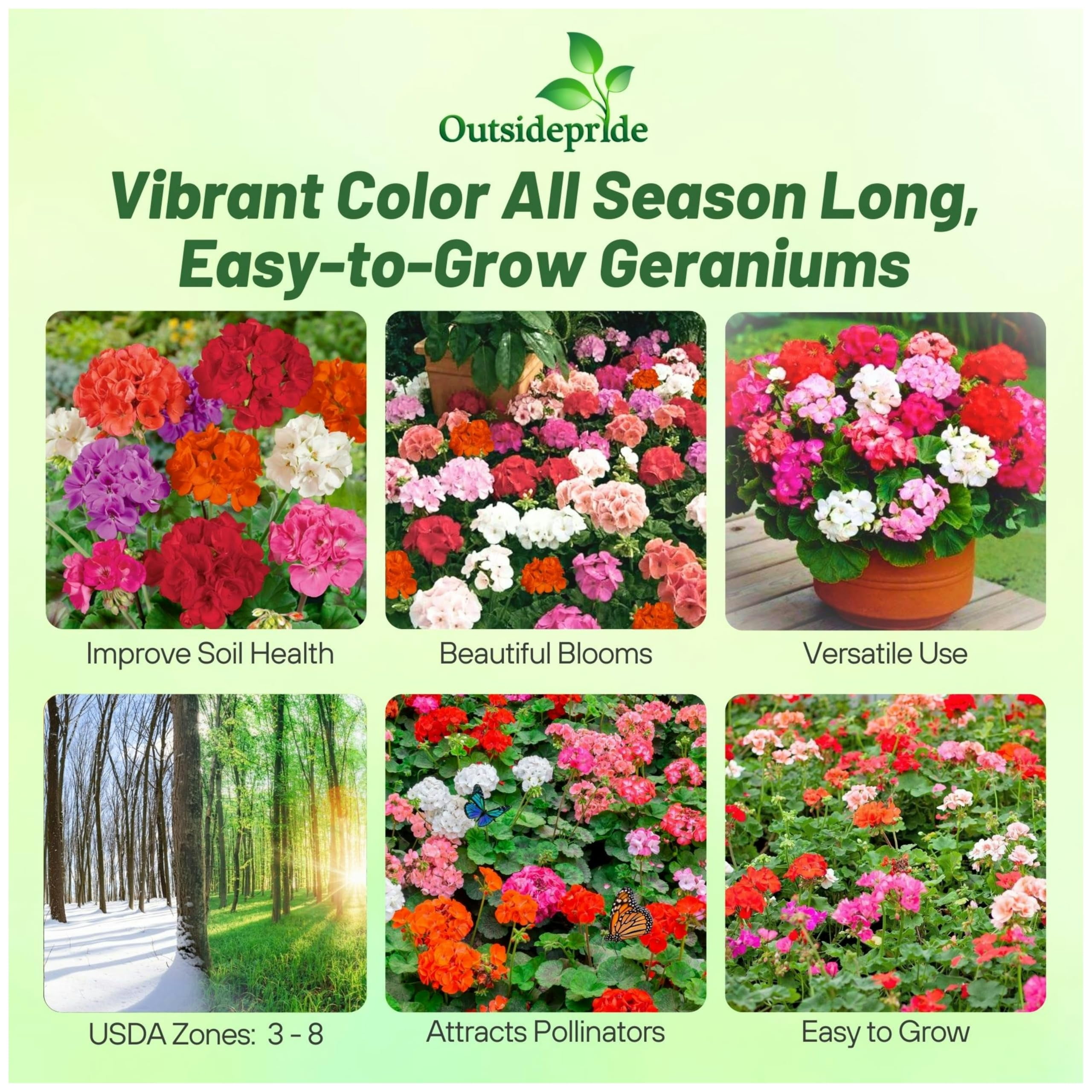 Outsidepride Mix Geranium Seeds for Planting - H2FSD100 Pcs Annual ...