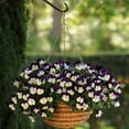 Outsidepride Pansy Cool Wave Violet Wing - 30 Seeds - Walmart.com
