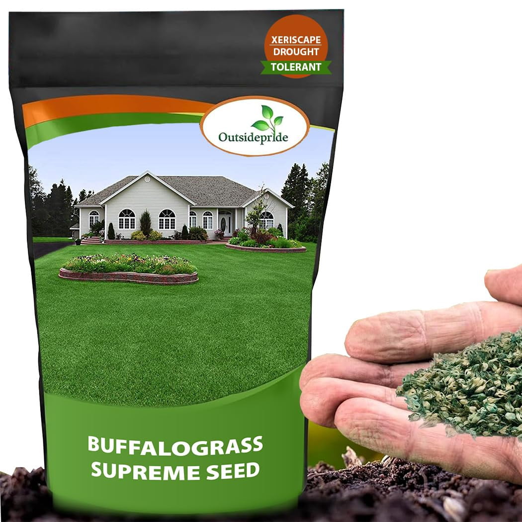 Outsidepride Perennial BuffaloEGSC Grass Seed - 2 lbs Heat & Drought ...