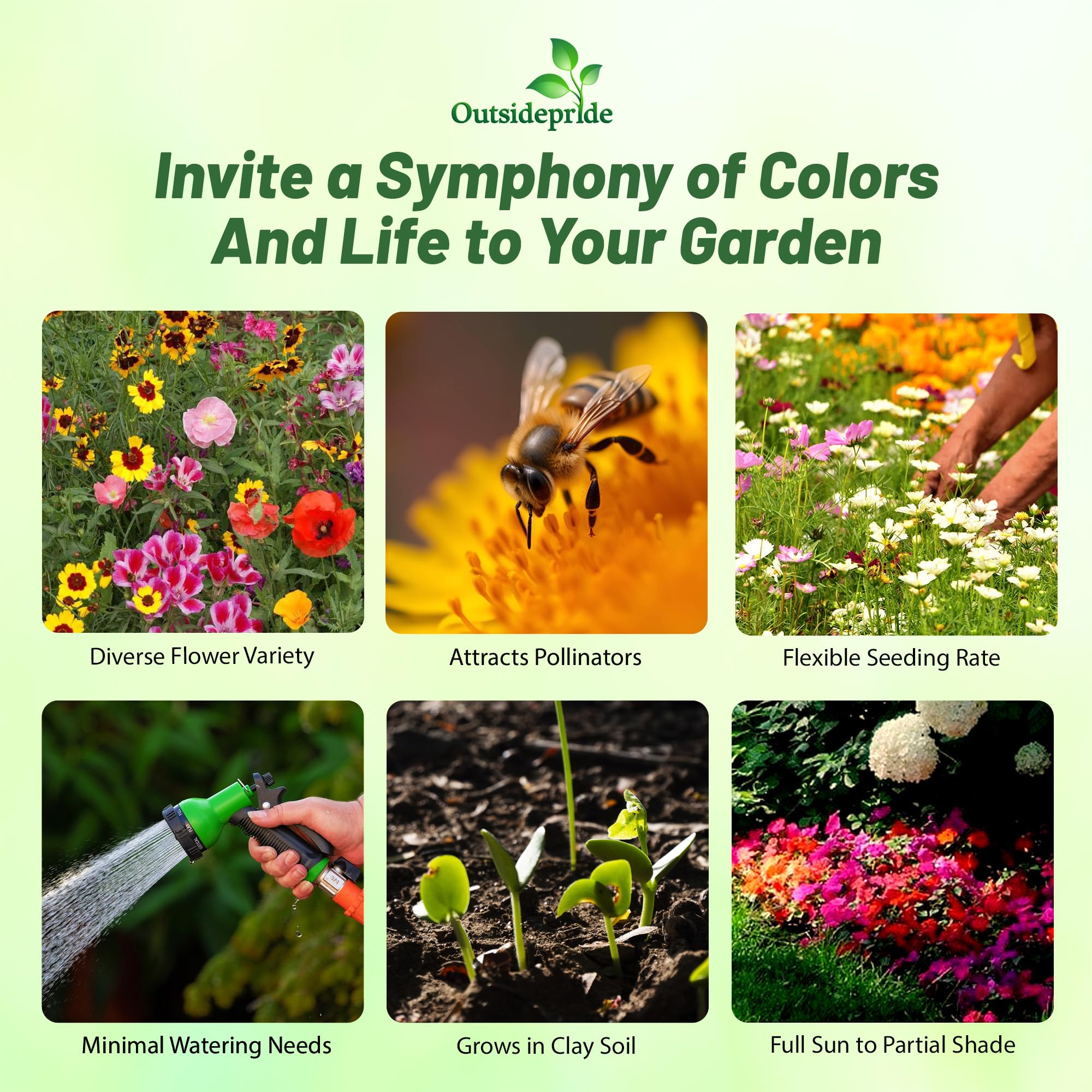 Outsidepride Pollinator Wildflower Seed Mix - 1/4 H2FSDlb Flower for ...