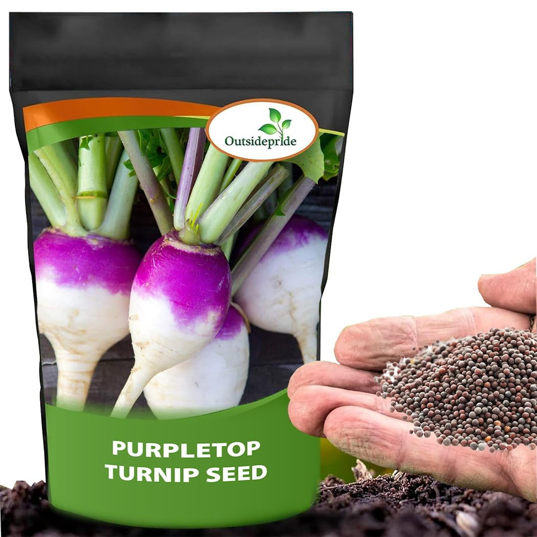 Outsidepride Purple Top Turnip Seeds - MTN1 5 Lbs High-Yield, High ...