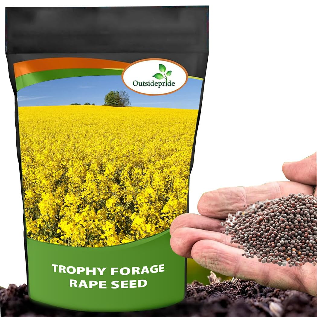 Outsidepride Trophy Forage Rape Seed - MVR1 1 Lb Heat, Cold & Drought-Tolerant Brassica Food ...