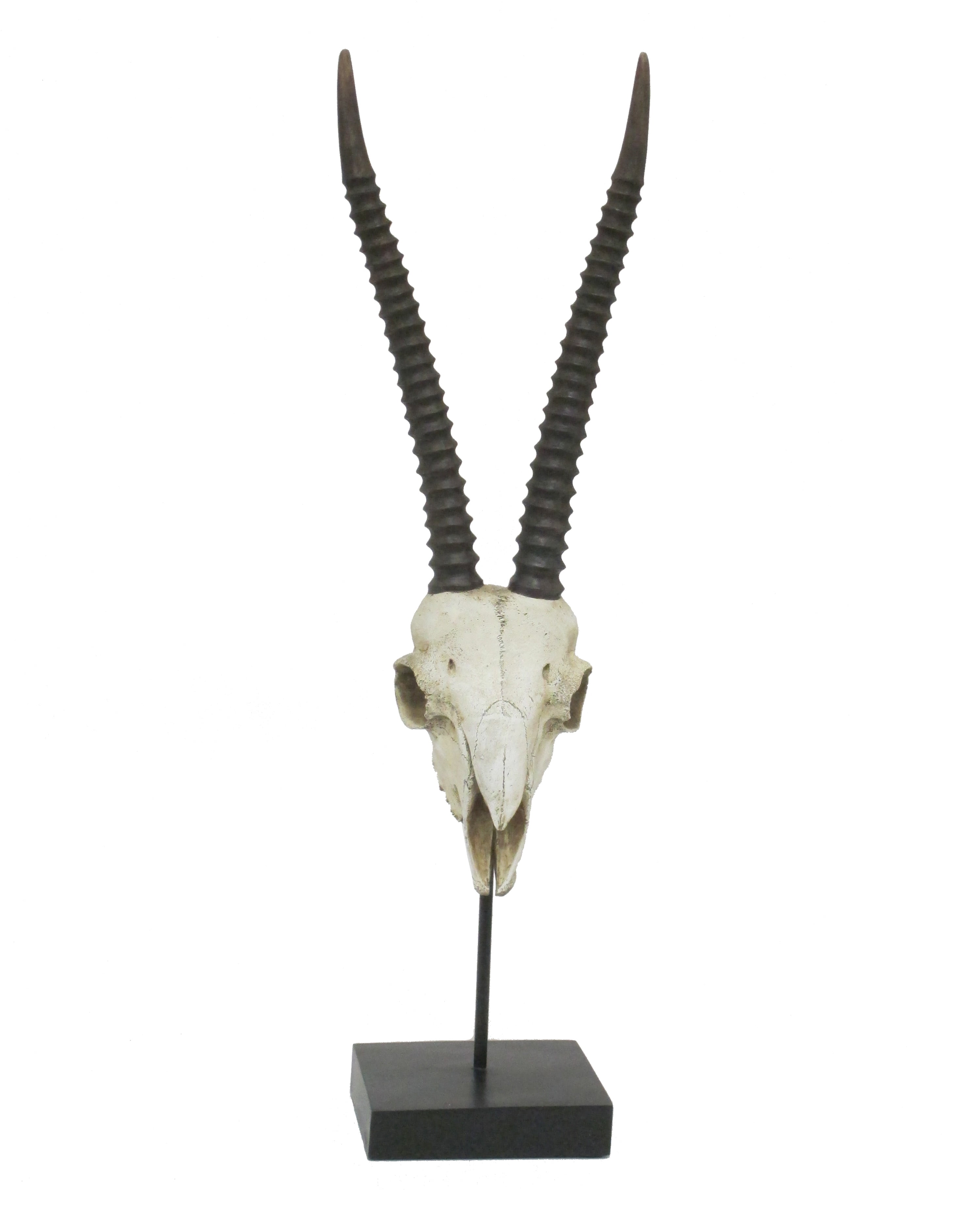 Outstanding Resin Animal Skull Tabletop - Walmart.com