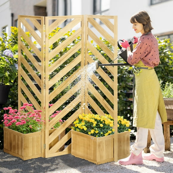 Plant Divider