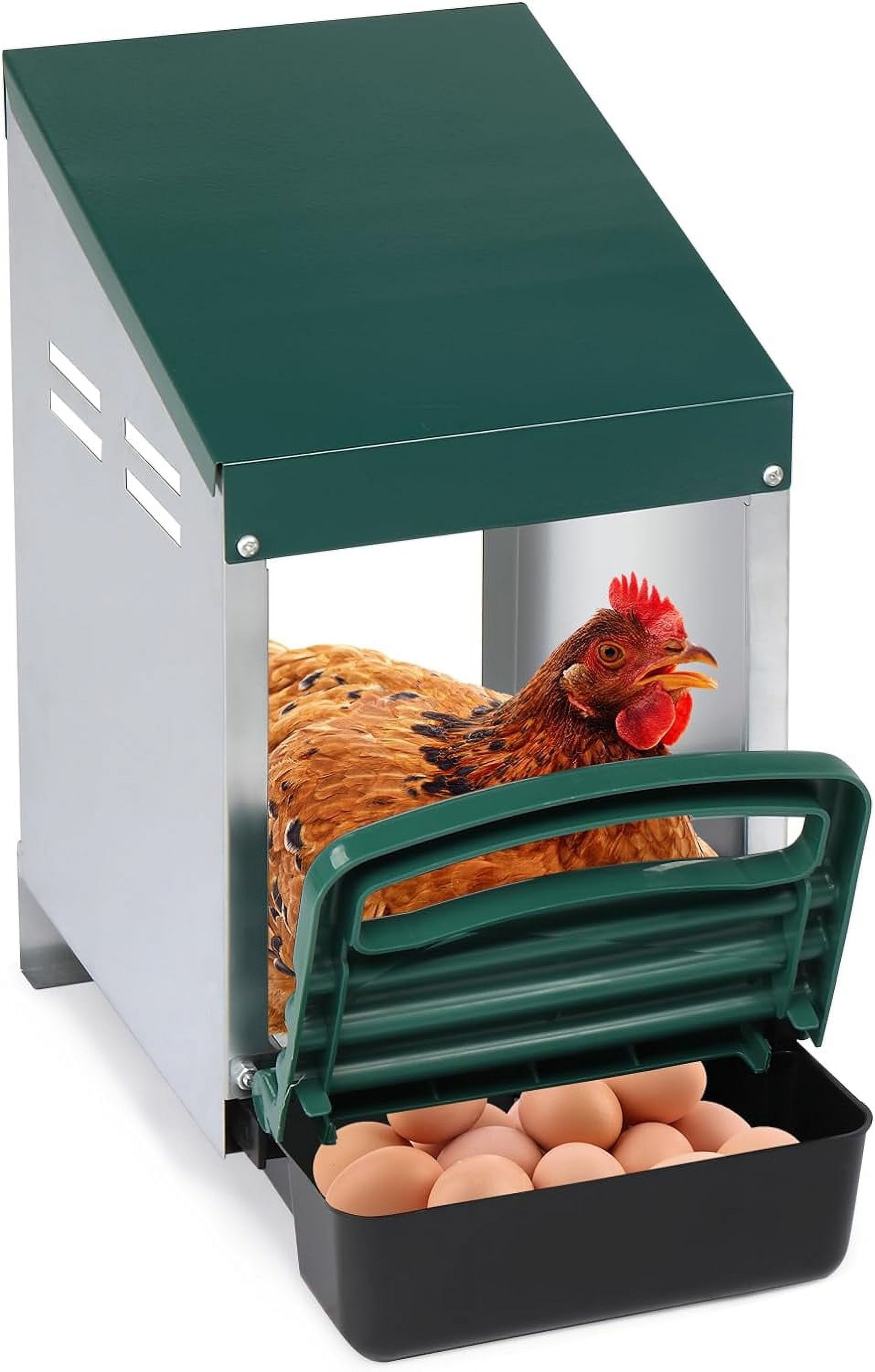 Outvita Chicken Nesting Box, Single Compartment Chicken Laying Box ...