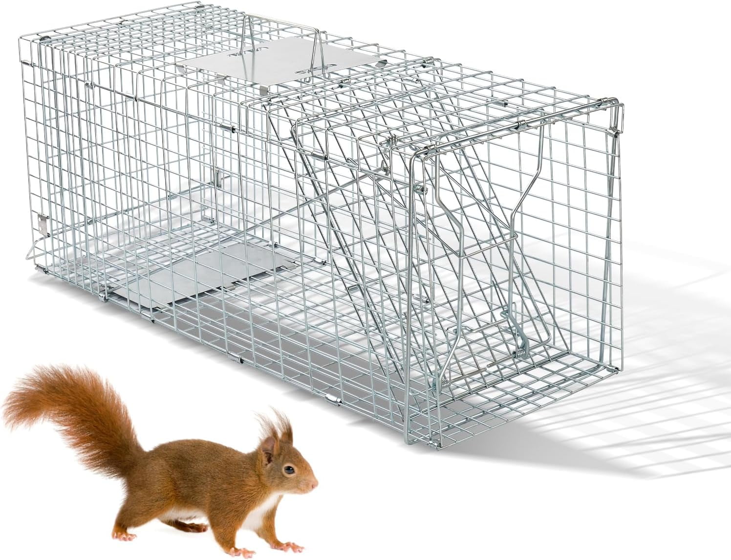 Outvita Live Animal Cage Trap, 32" Heavy Duty Folding Steel Cage, Catch ...