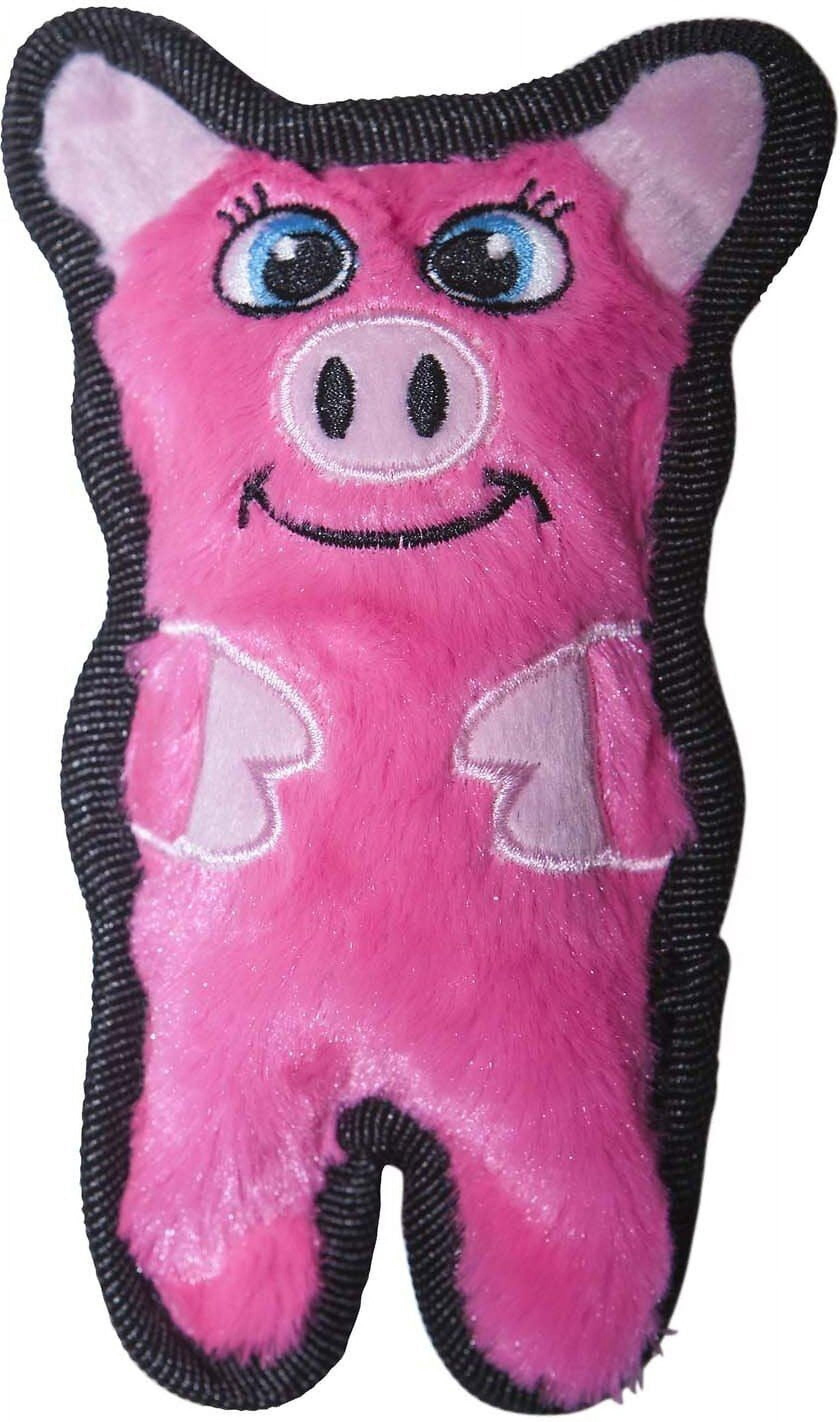 Outward Hound Invincibles Assorted Minis Dog Toy (Each Sold Separately ...