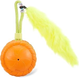 Outward Hound Tail Spinner Squeaky Dog Chase Toy with Furry Tail ...