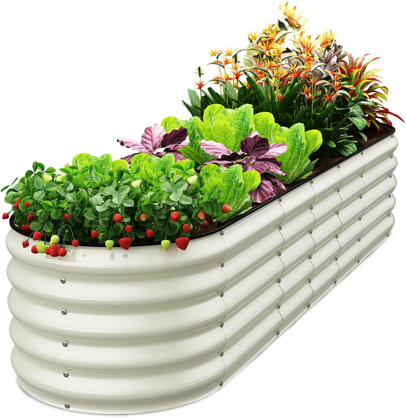 Oval 8x2x1.5 FT Galvanized Raised Garden Bed Kit, 31 in 1 Large Metal ...