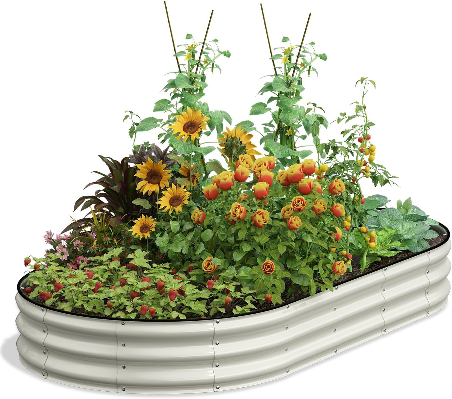 Oval 8x4x1 FT Galvanized Raised Garden Bed Kit, 3 in 1 Large Metal ...