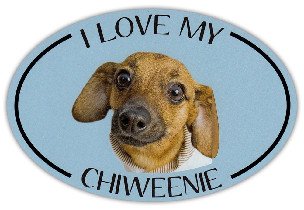 Oval Dog Breed Picture Car Magnet - I Love My Chiweenie - Magnetic ...