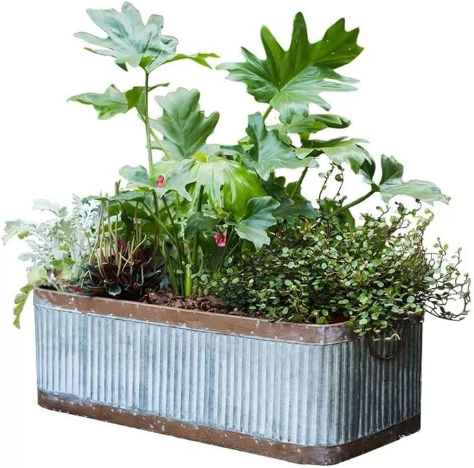 Oval Planter Raised Beds, Outdoor Iron Metal Planter Box Raised Garden ...