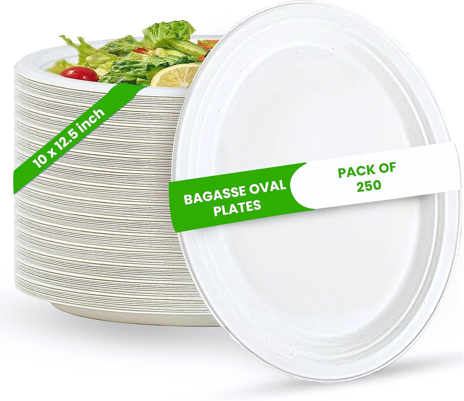 Oval Plates Disposable (250, Large) Eco-Friendly Sugarcane ...